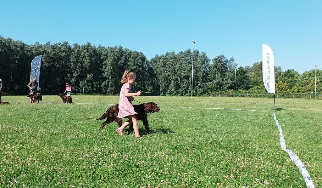 Uitslag KCM 2023 DLC