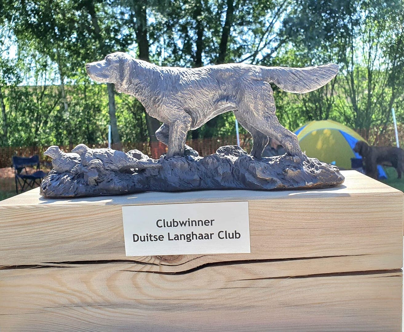 Uitslag DLC Kampioensclubmatch 2024